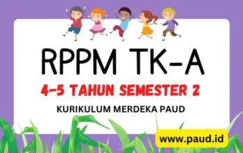 RPP Kurmer Panduan Pembelajaran Kurikulum Merdeka - Identif